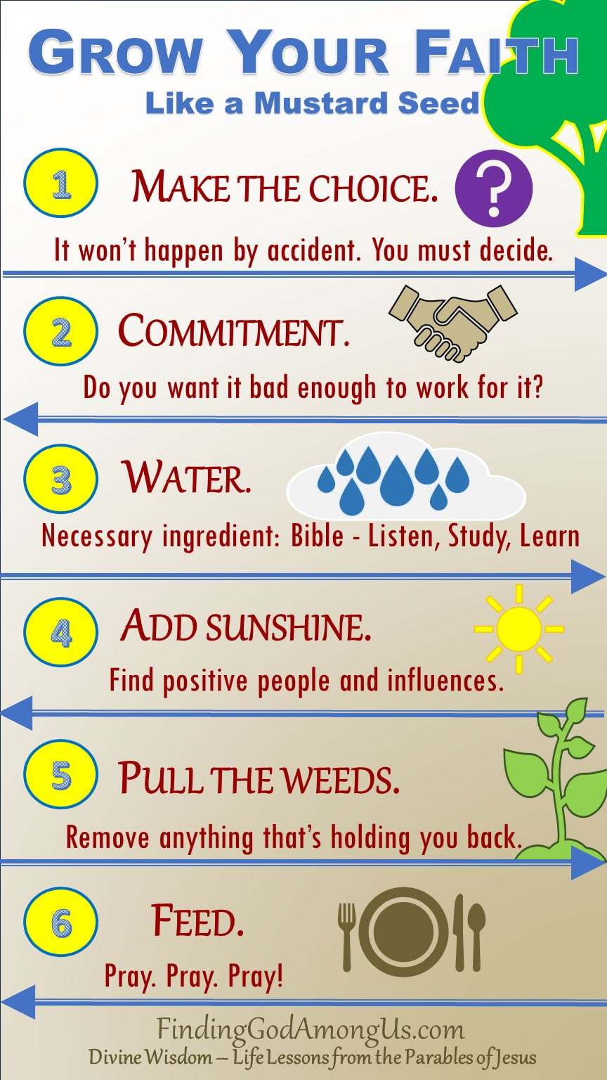 6 Lessons from Mustard Seed Faith - Finding God Among Us